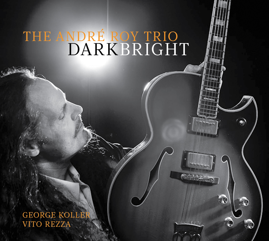 Discography - André Roy - Guitarist!